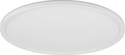 Livarno® Nástěnné / Stropní LED svítidlo (kulatá)