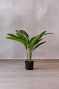 Umělá strelicie v květináči NICOLA, plast, výška 85 cm, zelená