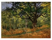 Reprodukce obrazu Claude Monet - The Bodmer Oak, Fontainebleau Forest, 70 x 50 cm