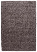 Hnědý koberec 60x110 cm Life – Ayyildiz Carpets