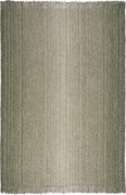 Kusový koberec Mottle Jute Ombre Green, 80x150, zelená, chodba / predsieň, Flair Rugs