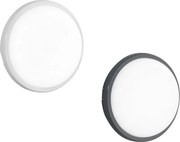 FAN LED-EVER-S ANT Venkovní nástěnné a stropní svítidlo LED EVER antracit, polykarbonát, 15 W, 1900 lm, 3000/4000 K, IP65, 16,9 x 6,2 cm - FANEUROPE