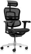 Office Pro Kancelářské křeslo SIRIUS MESH NEO černá