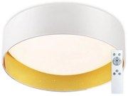 Top Light - LED Stmívatelné stropní svítidlo LED/24W/230V +dálkové ovládání bílá