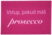 Mercury Flooring, Rohožka Vstup pokud máš Prosecco 40x60 cm, 40x60, růžová