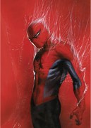 Komar Plakát Marvel Spider-Man Through the Spider Web 50 x 70 cm