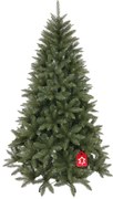 Smrk Kavkazský 150 cm