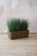 Přírodní truhlík FLORET, ratan, délka 60 cm, natur
