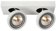 Lucide 09920/20/31 - LED Stmívatelné bodové svítidlo NENAD AR111 2xG53/10W/230V