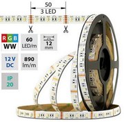 LED pásek McLED 12V RGBW WW teplá bílá 12mm IP20 19,2W/m ML-123.635.60.0 (5m)