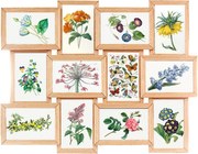 Multirám na 12 fotek FINES, fotorámeček koláž 45 x 59 cm