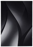 Ayyildiz, Kusový koberec Plus 8010 black, 80x150, černá, chodba / předsíň