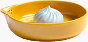 Lis na citrusy Pudding