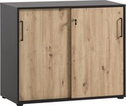 Schildmeyer Kartotéka Aino (4s, černý matný dub Artisan)
