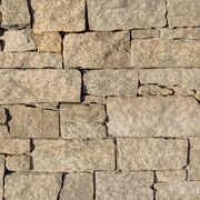 Obklad kamenný lepený DEKSTONE G 665 Tiger Skin Yellow žula plošný 550×150 mm