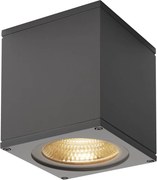 LA 234535 BIG THEO CEILING venkovní stropní svítidlo LED 3000K antracit - BIG WHITE (SLV)