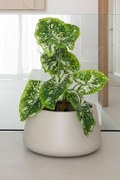 Květináč GORDO, sklolaminát, výška 29 cm, krémový