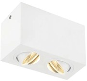 SLV 1002008 Triledo, bílé stropní svítidlo, LED 14W 3000K, rozměr 8,5 x 16,3cm