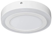 Ledvance - LED Stropní svítidlo ROUND LED/15W/230V pr. 20 cm