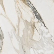 Stargres Dlažba Calacatta Gold, bílý mramor, 60 x 60 cm