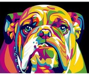 Malování podle čísel s rámem "Barevný Bulldog" 50x40cm