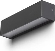 RED R13641 CAMARGUE nástěnná antracitová satinované sklo 230V LED 6W IP65 3000K - RED - DESIGN RENDL