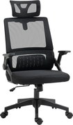 Ergonomická kancelářská židle Vinsetto s nastavitelnou opěrkou hlavy, výškou područek a funkcí naklonění, bederní opora, síťovina, černá | Aosom