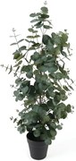 Umělý eukalyptus – PT LIVING