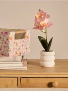 Sinsay - Dekorativní rostlina v květináči – orchidej - pastelová růžová