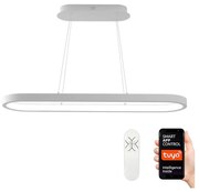 Immax NEO 07077L - LED Stmívatelný lustr na lanku HIPODROMO LED/66W/230V Tuya