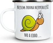 Ahome Ahome CZ Plecháček Nejsem nejrychlejší 300 ml