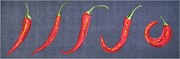 GRUND Rohožka do domácnosti HOT CHILI šedá Rozměr: 60x180 cm
