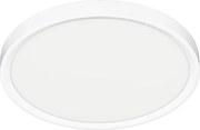 Stropní LED svítidlo Maq, 1x LED 24w, 3000-6500k, w