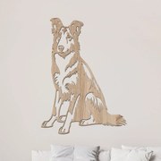 dřevo života Dřevěný obraz psa Krátkosrstá kolie Rozměry (cm): 29x40, Zvolte barvu dekoru: Dub Sonoma