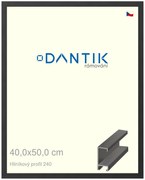 DANTIK rámeček 40x50 | ALU profil 6240 Černá matná (Plexi Čiré)