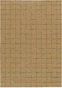 Vnitřní a venkovní koberec v přírodní barvě 160x230 cm Pergola – Universal