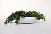 Okrasná miska PLANA, sklolaminát, 14xØ54 cm, bílá