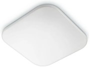 Philips - LED Stropní svítidlo MAUVE LED/24W/230V 4000K
