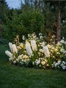 Sinsay - Solární LED zahradní lampa s visícími světly - bílá