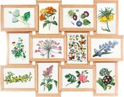 Multirám na 12 fotek FINES, fotorámeček koláž 45 x 59 cm