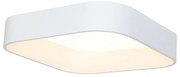 Stropní LED svítidlo Astro, 1x LED 40w, 3000-4000k, w