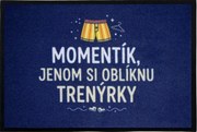 Mercury Flooring, Trenýrková rohožka 40x60 cm - na ven i na doma, 40x60, modrá