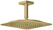 Axor Citterio C - Hlavová sprcha 27x27 cm, EcoSmart, leštěný vzhled zlata 28793990
