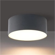 Brilagi - LED Koupelnové stropní svítidlo FORIS LED/20W/230V pr. 15 cm antr IP44