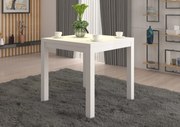 ADRK Furniture Konferenční stolek OLAF 1 80x80 CT-Ola-1-W-H067