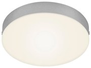 Briloner 7065-014 - LED Stropní svítidlo FLAME LED/16W/230V stříbrná