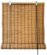 Bambusová roleta v přírodní barvě 60x160 cm Zeva – Gardinia