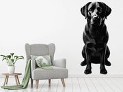 Labradorský retriever textilní přelepitelná samolepka na zeď arch 19 x 45 cm