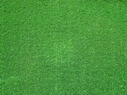 Umělá tráva Blackburn