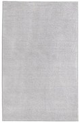 Hanse Home, Kusový koberec Pure 102615 Grey, 80x150, šedá, kancelář